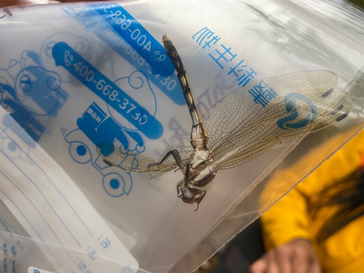 DHSZ Class of 2026 Offer Stories: Charlotte G | Biology @ Washington ...