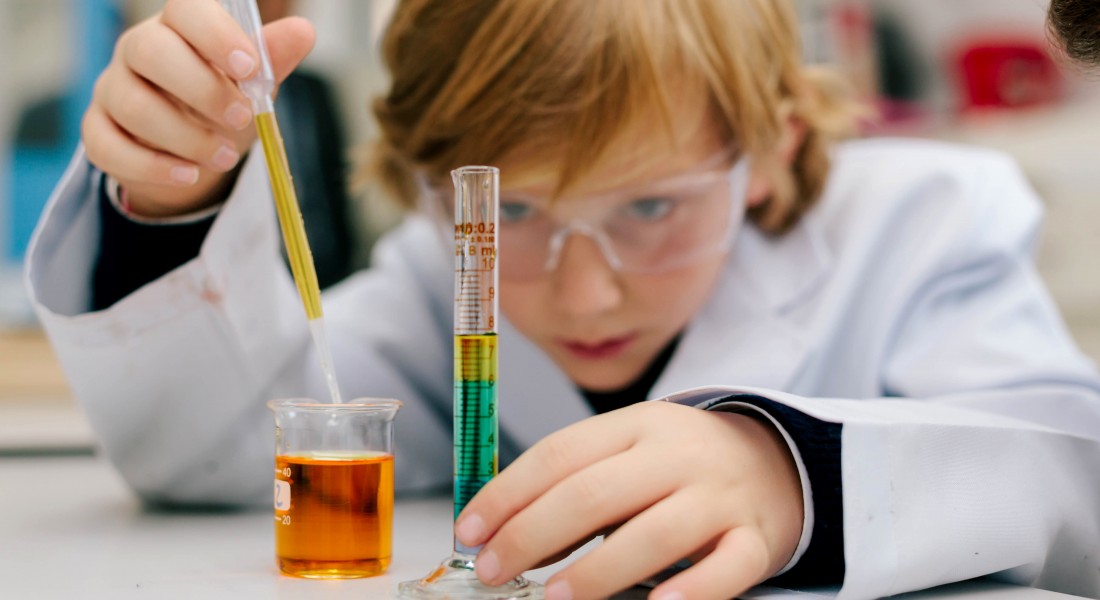 Dulwich College Seoul Science Society | Dulwich College Seoul