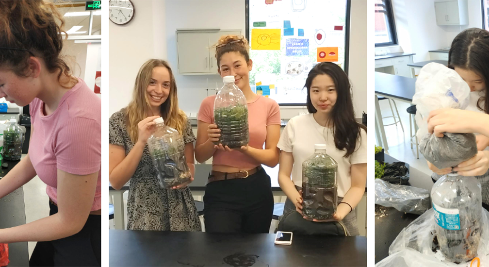 IB DP Environmental Systems and Societies | Dulwich College Shanghai Pudong