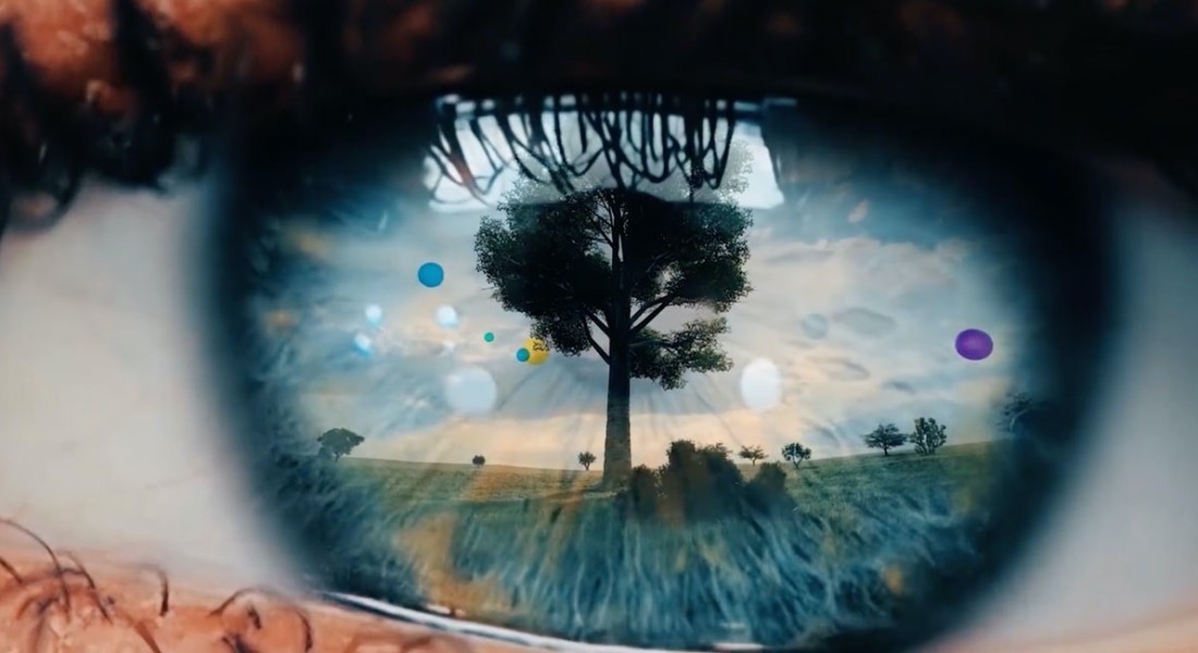 Worldwise Alumni Network (WAN) | Dulwich College International