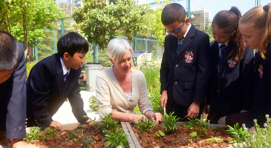 Global Citizenship & Sustainability | Dulwich College Suzhou